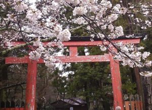 Kenbu – Kenshin Dojo